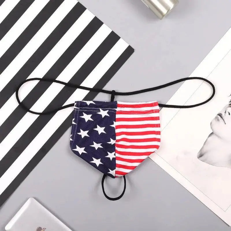 Mens Usa Flag Print Thong Miami Teeny Weeny Bikini
